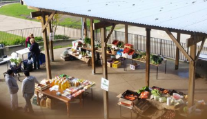 Case Study: The Community Grocer - Open Food Network Australia