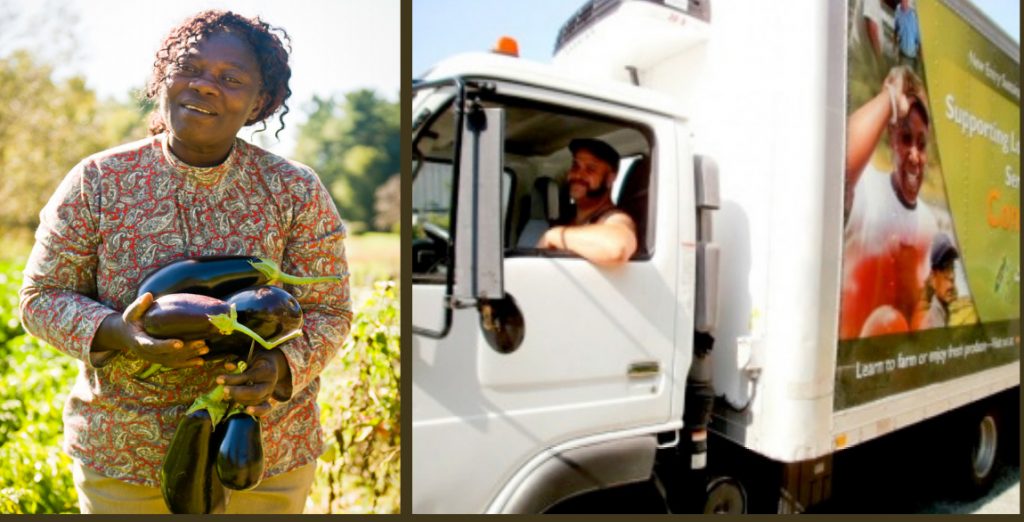 A guide to scaling up food hubs - Open Food Network Australia