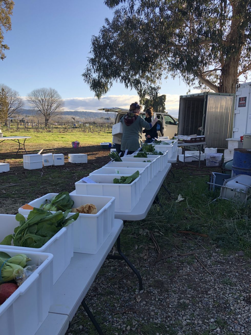 Southern Harvest's COVID shift to online - Open Food Network Australia