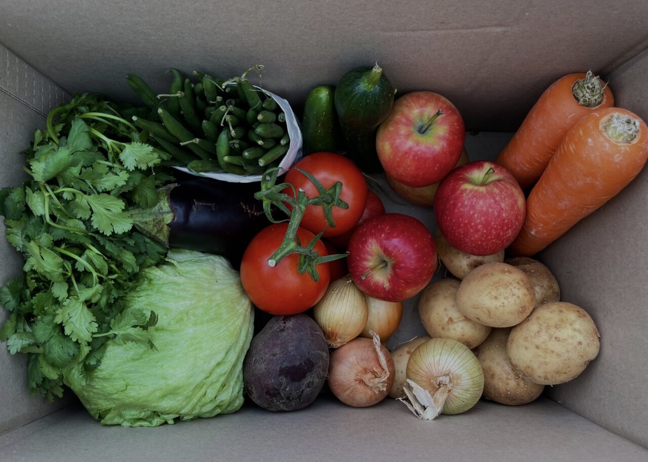 Open Food Ecosystem - Open Food Network Australia